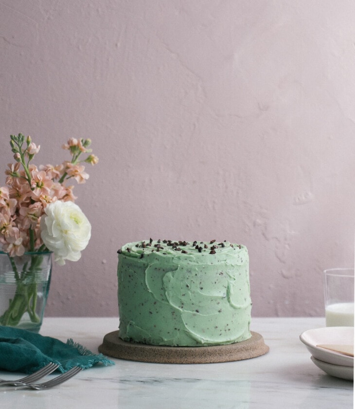 Mint Chocolate Chip Cake - A Cozy Kitchen