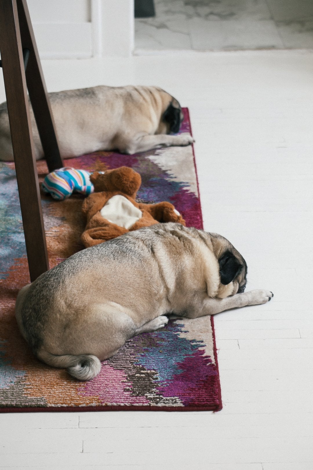 How to Make a Corgi Cake (and a Pug Cake, Too!) - A Cozy Kitchen