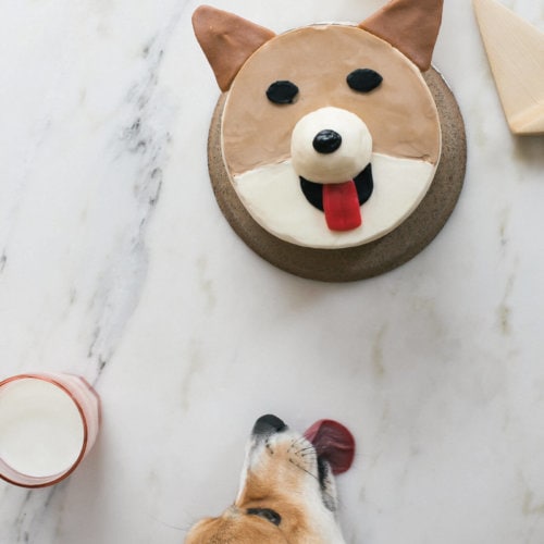 How to Make a Corgi Cake (and a Pug Cake, Too!) - A Cozy Kitchen