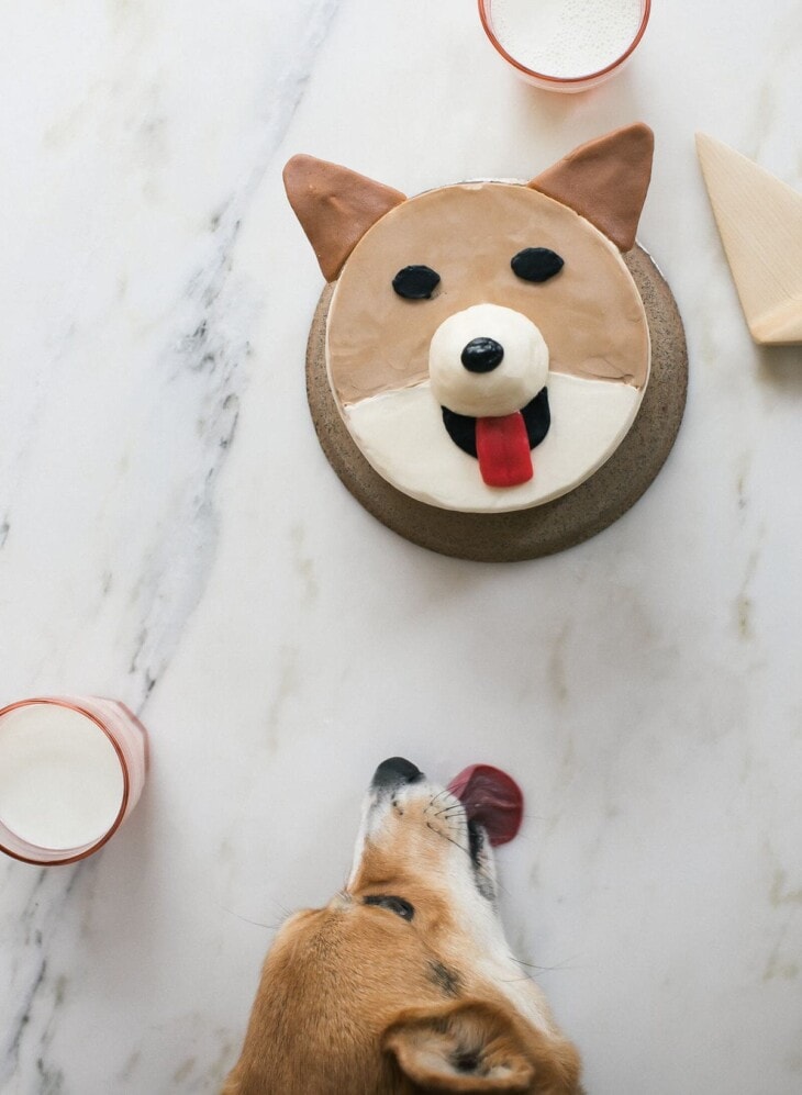 How to Make a Corgi Cake (and a Pug Cake, Too!) - A Cozy Kitchen