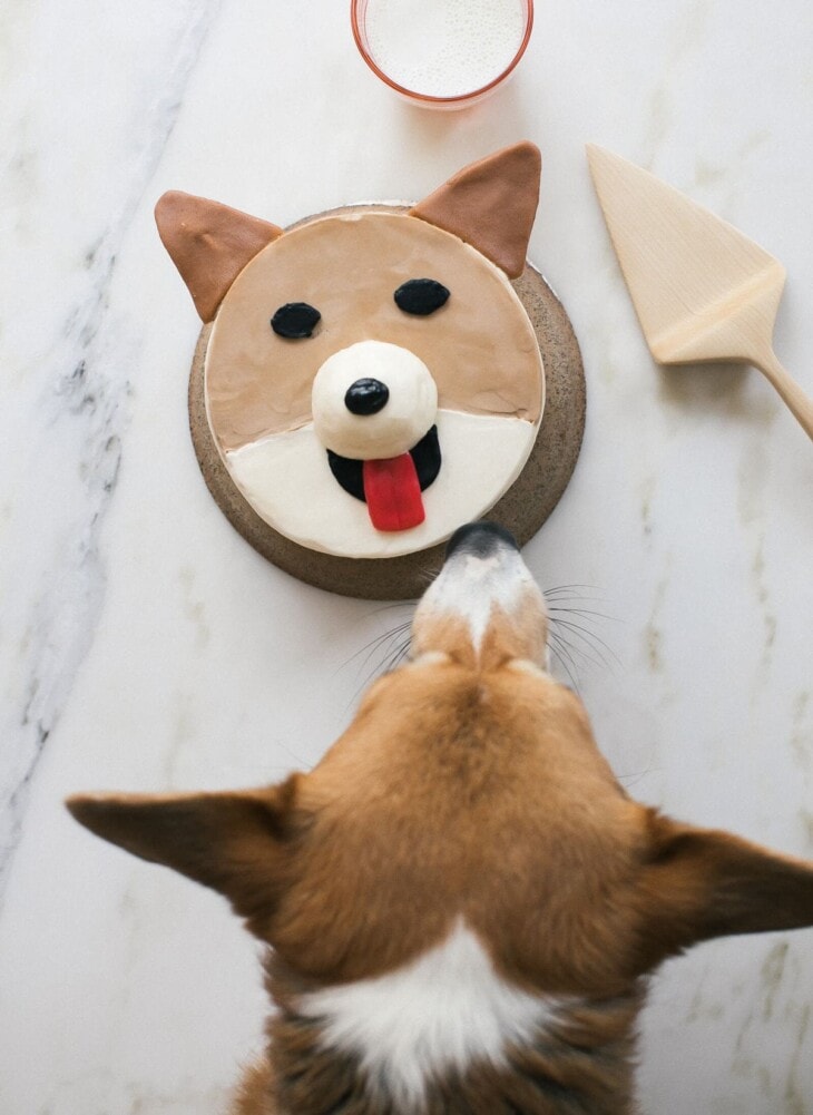 How to Make a Corgi Cake (and a Pug Cake, Too!) - A Cozy Kitchen