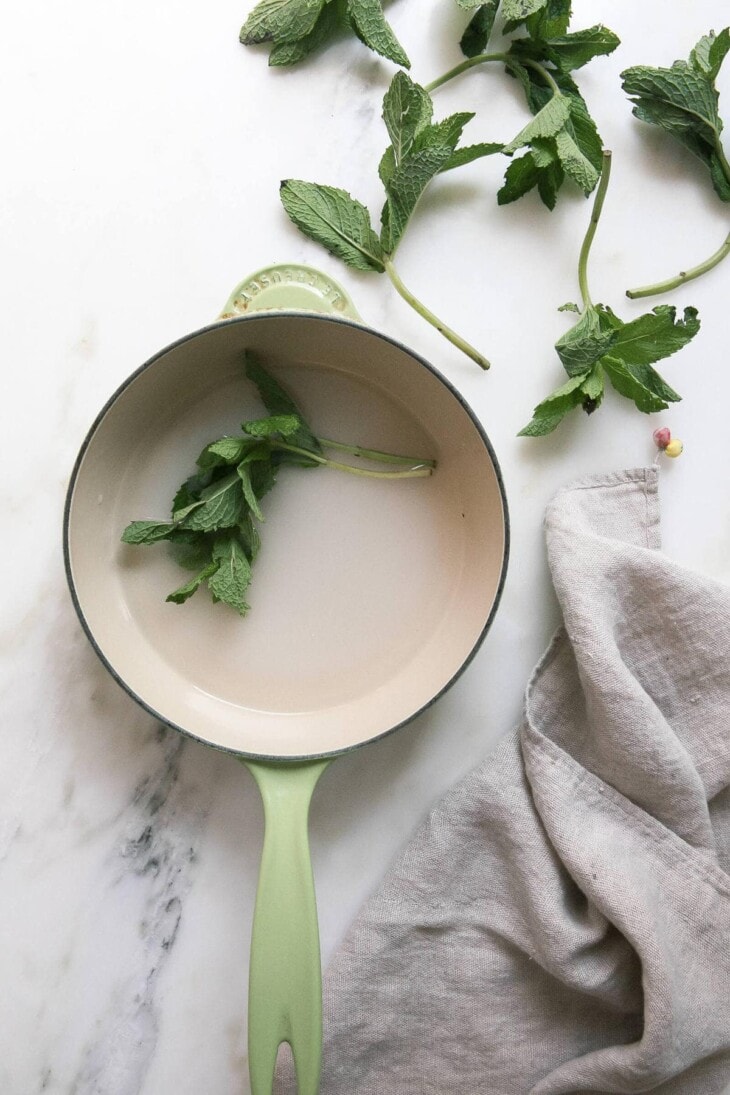 Mint Vanilla Iced Coffee with Mint Simpe Syrup - A Cozy Kitchen