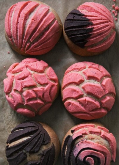 Conchas (Mexican Pan Dulce) - A Cozy Kitchen Conchas Recipe