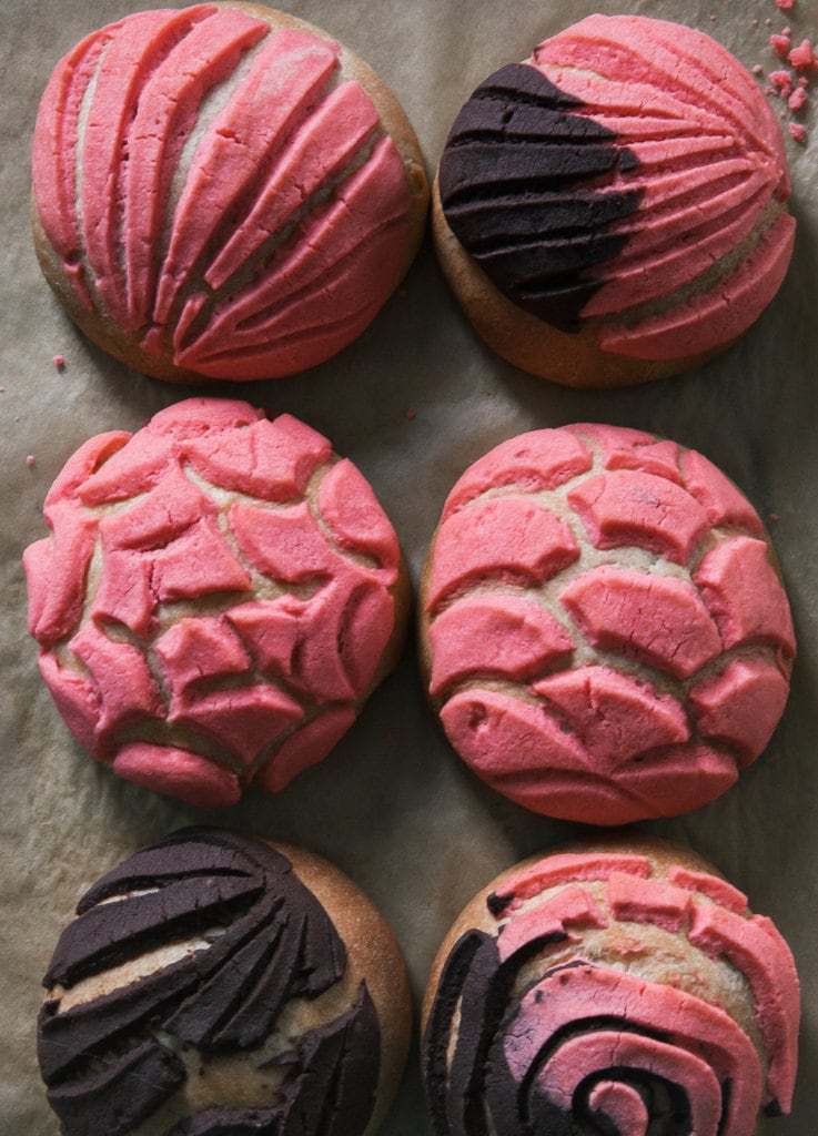 Conchas (Mexican Pan Dulce) - A Cozy Kitchen Conchas Recipe