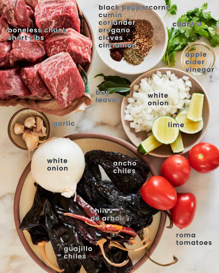 Beef Birria - A Cozy Kitchen