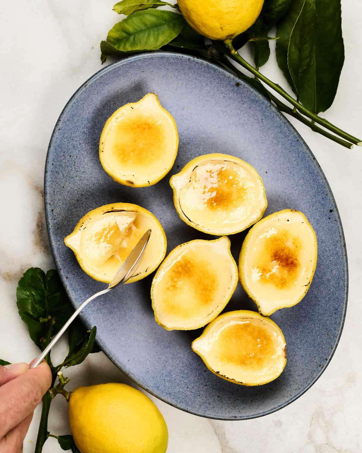 Lemon Possets (Three Simple Ingredients!) - A Cozy Kitchen