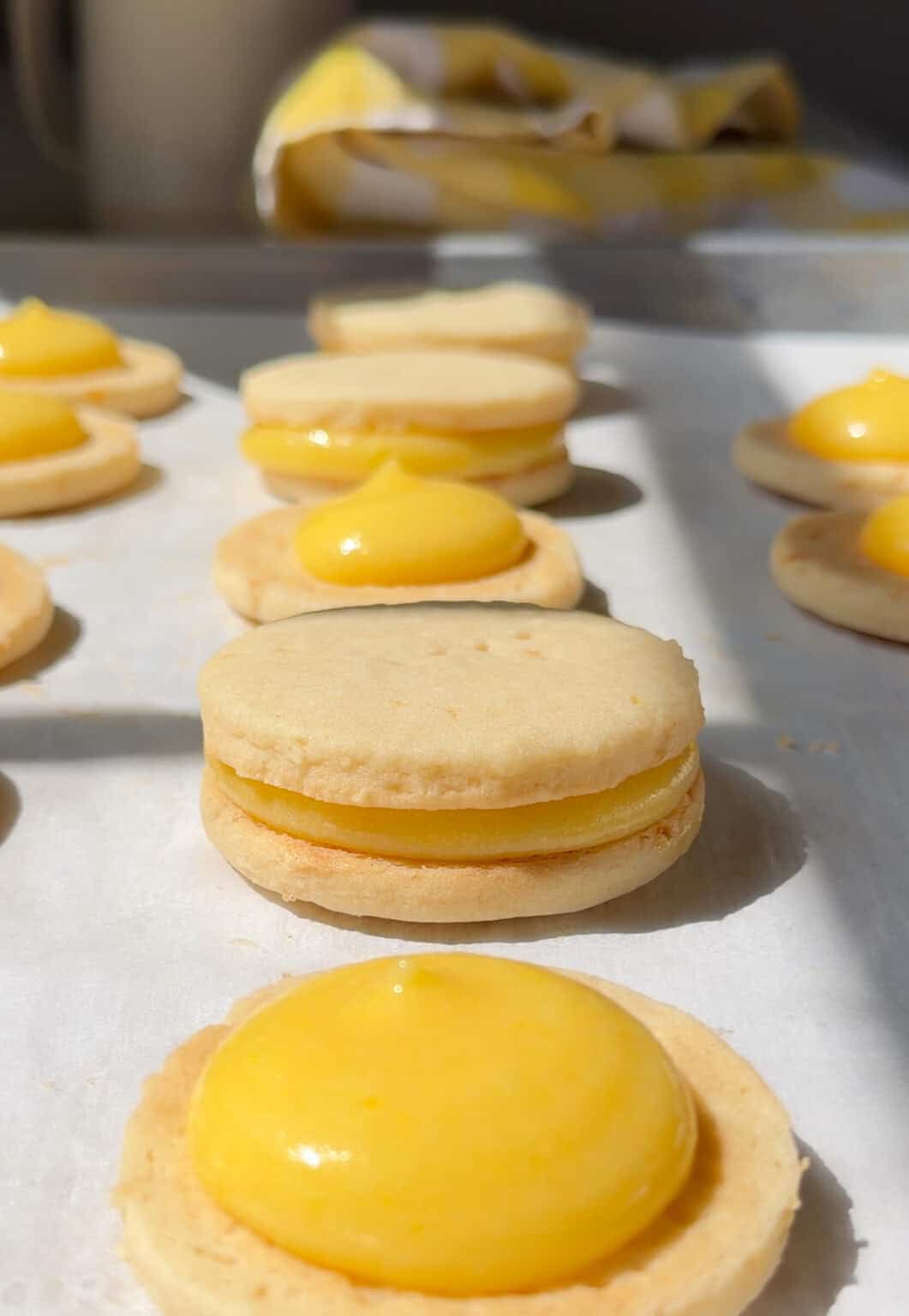 Lemon Alfajores with Lemon Curd (Soft, Buttery Cookies) - A Cozy Kitchen