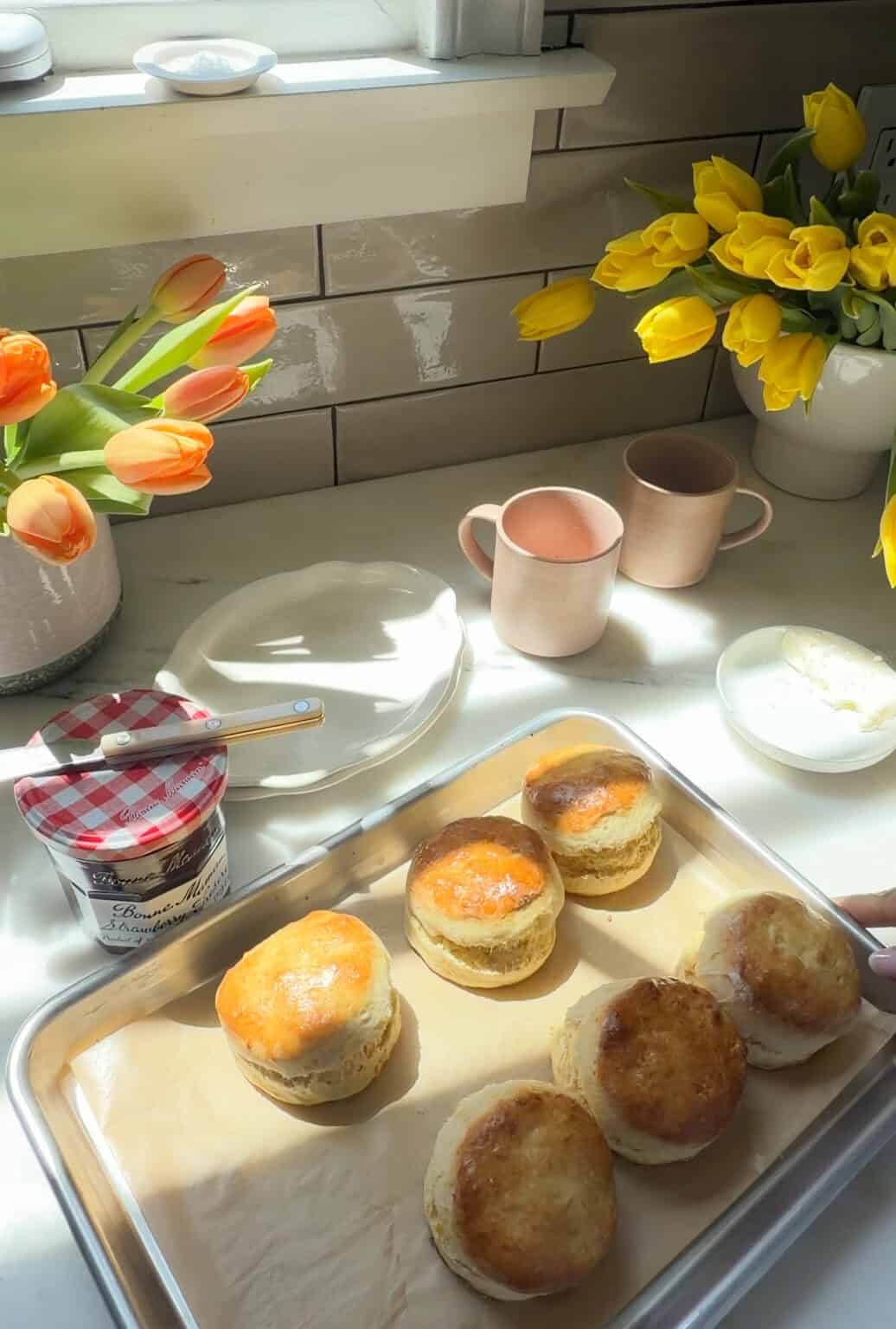 British Scones Recipe (Tender, Tall & Easy to Make) - A Cozy Kitchen